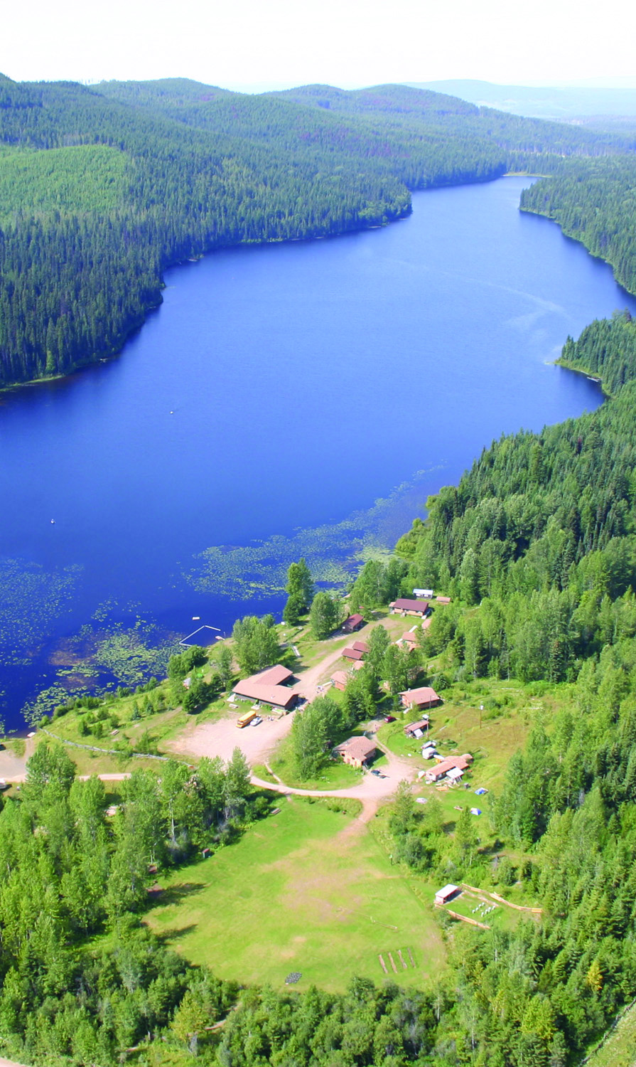 Volunteer Internship Program | Alex Fraser Research Forest